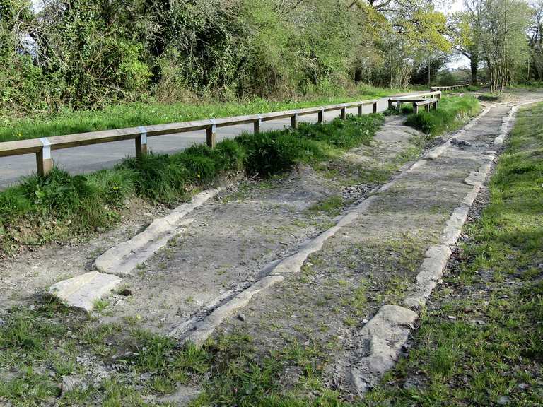 River Lemon – Ventiford Basin Runde von Newton Abbot | Laufrunde | Komoot