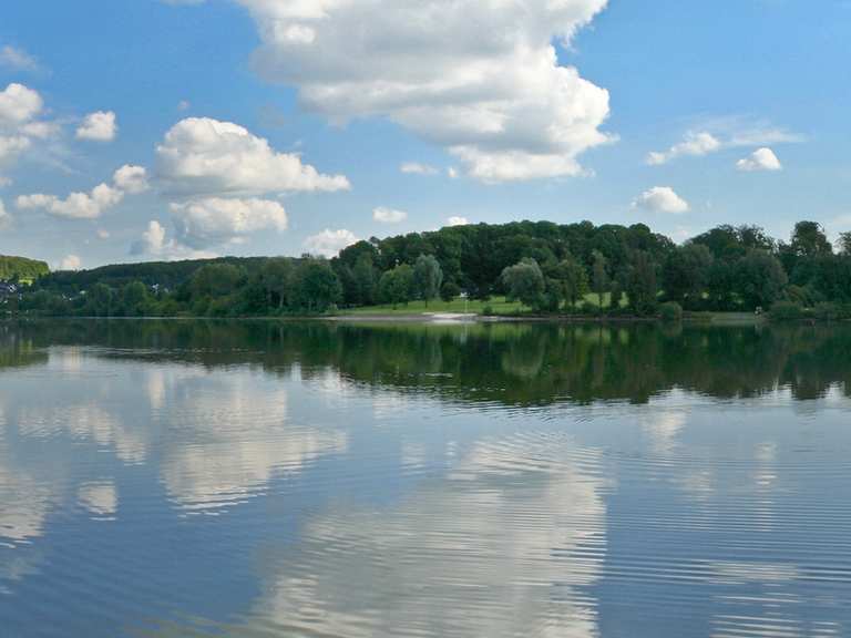 Wiesensee - Holzbachschlucht - Secker Weiher | Wanderung | Komoot