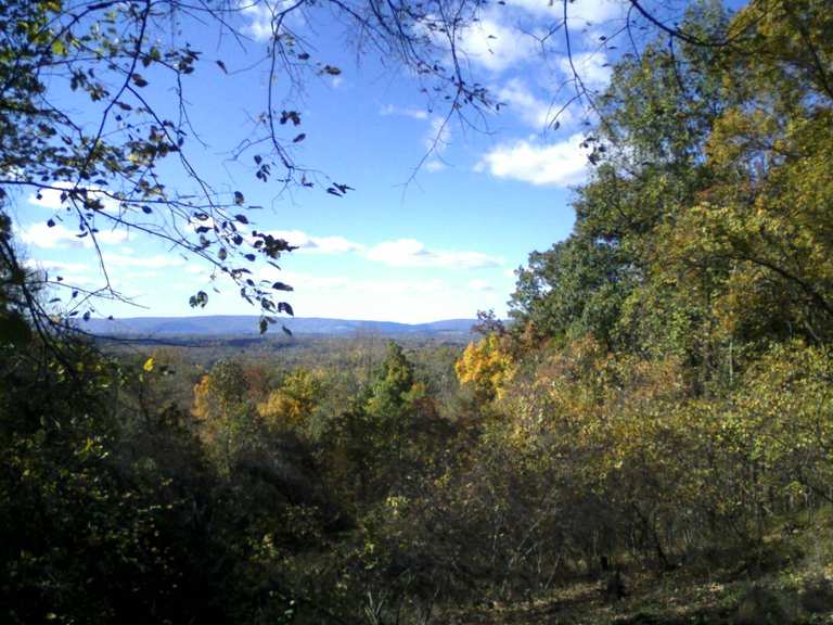 Bear's Den Park Trail | hike | Komoot