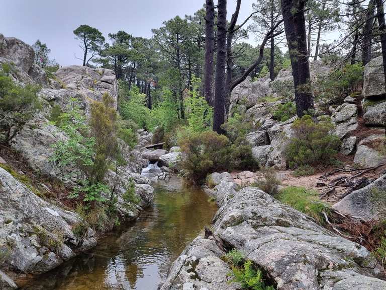 Cascade de Piscia du Gallu – Parc naturel régional de Corse | Wanderung ...
