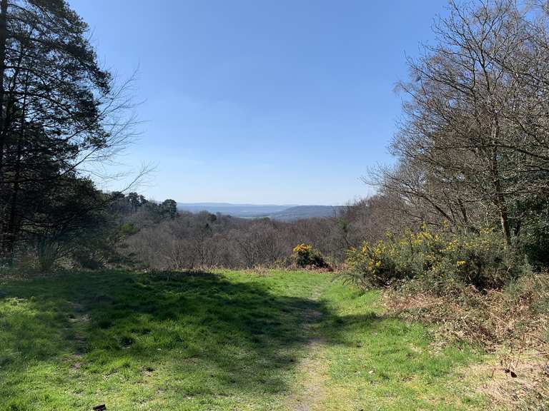 Blackdown - Marley Common - Loop | mountain bike ride | Komoot