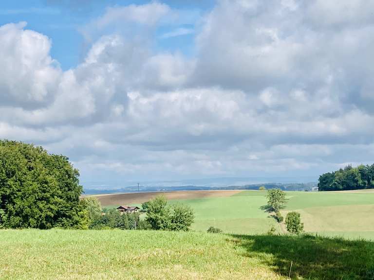 Flamatt-Obermonten-Bourguillon-Tützenberg | Fahrradtour | Komoot