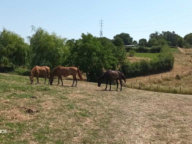 Marche fédérale FFBMP organisée par CM SAIVE...21 km | randonnée ...