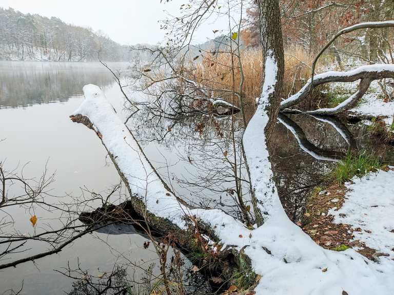 Architektonischer Spaziergang durch die Waldsiedlung Zehlendorf mit ...