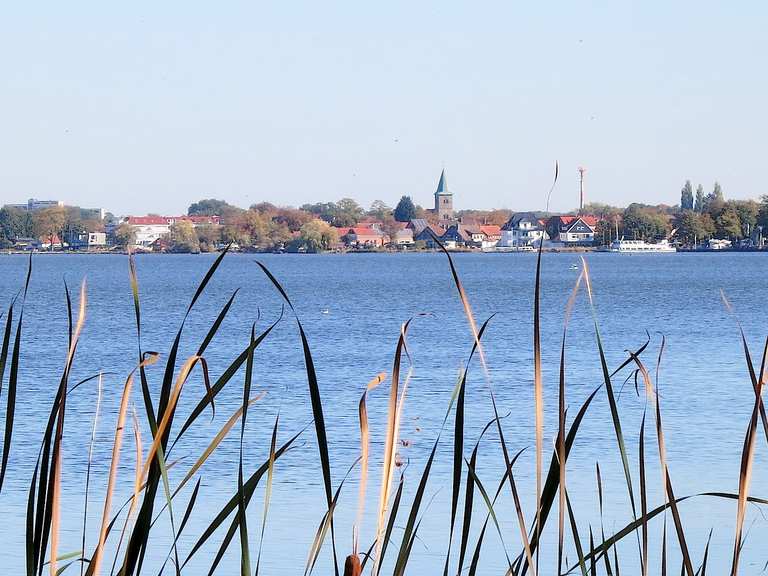 Rund Steinhuder Meer ab Wunstorf | bike Tour | Komoot