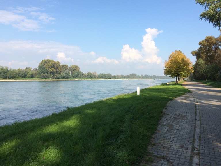 Plittersdorf/Rastatt: Runde an Rhein und Altrhein | Wanderung | Komoot