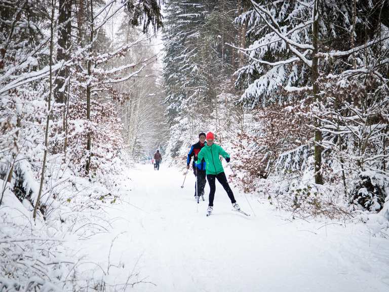 Schneewanderung durch die Dresdner Heide | Wanderung | Komoot