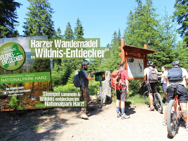 Harzer Wandernadel im Nationalpark Harz | Komoot