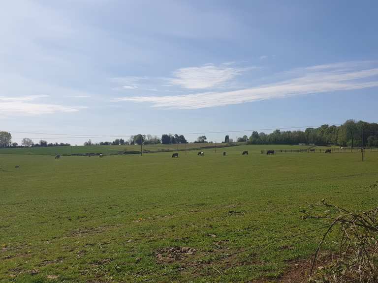 kinver village anticlockwise 19.04.2020 | road ride | Komoot