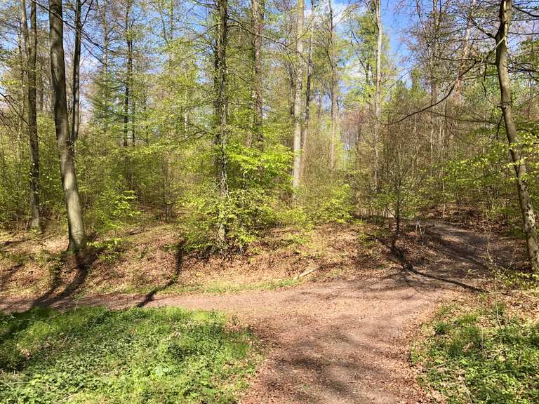 2. Rundweg Ober-Beerbach (OB 2) | hike | Komoot