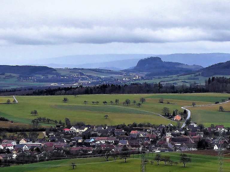 Alter Postweg, Napoleonseck, Bisberg - Runde ab WP Watterdingen 15.01. ...