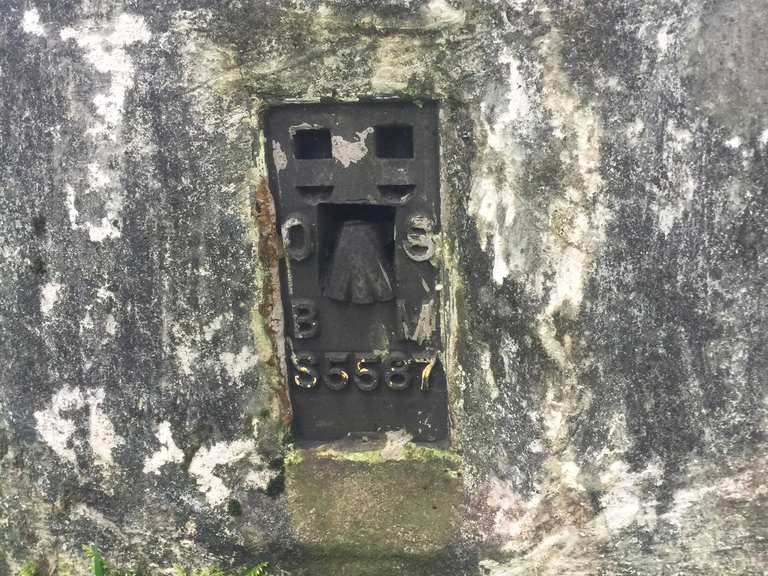 LDTP040: LD308 - Ulpha Fell | hike | Komoot