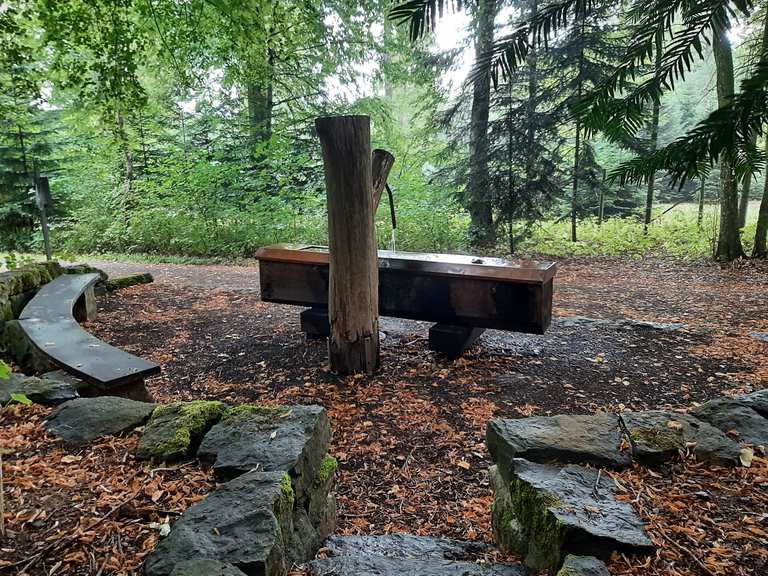 Renningen - Orts, Steinbruch und Ihinger Hof Runde | Wanderung | Komoot