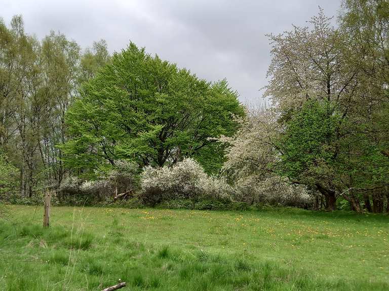 Eulenberg - Plöss | Wanderung | Komoot