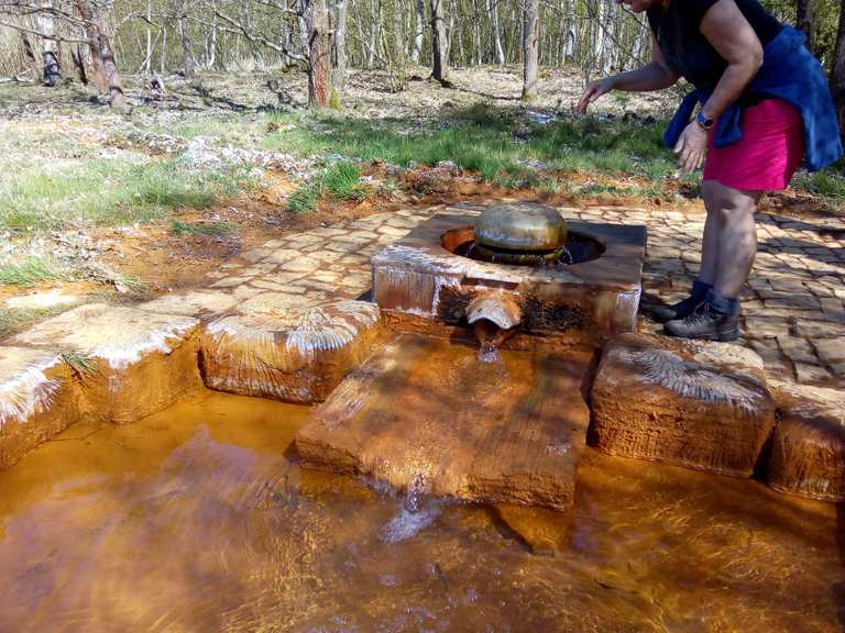 Wanderung im Sooser Moor und Fahrt zu den Bublak Moffetten | wandeling ...