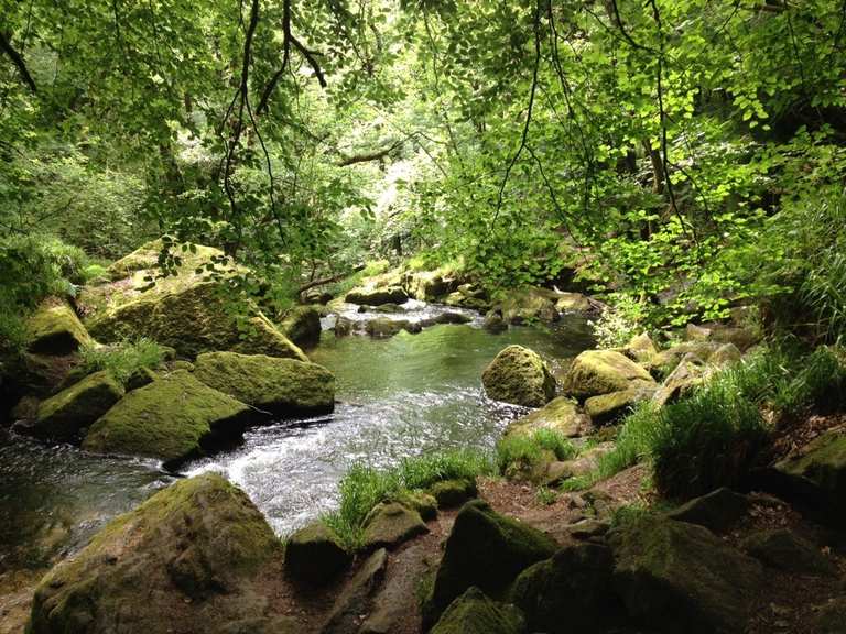 Golitha Falls - England Cornwall | hike | Komoot