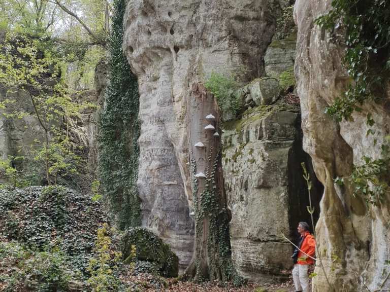 L: Consdorf I Mullerthal Trail Route 2 | hike | Komoot