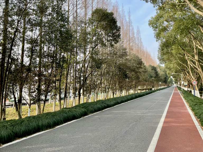 Downtown riding and day tripping — Shanghai's cycling essentials | Road ...