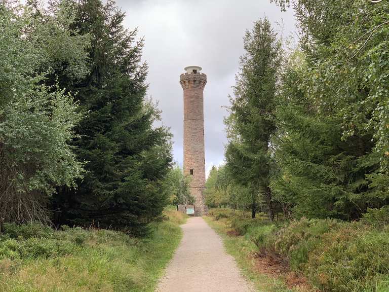 Hohloh - Turm - See - Moor (netter Spaziergang) | Wanderung | Komoot