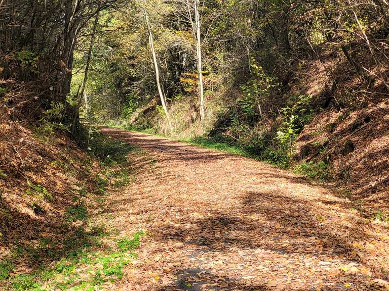 Hosenfeld - Oberwald - Rixfeld - Hosenfeld | bike ride | Komoot