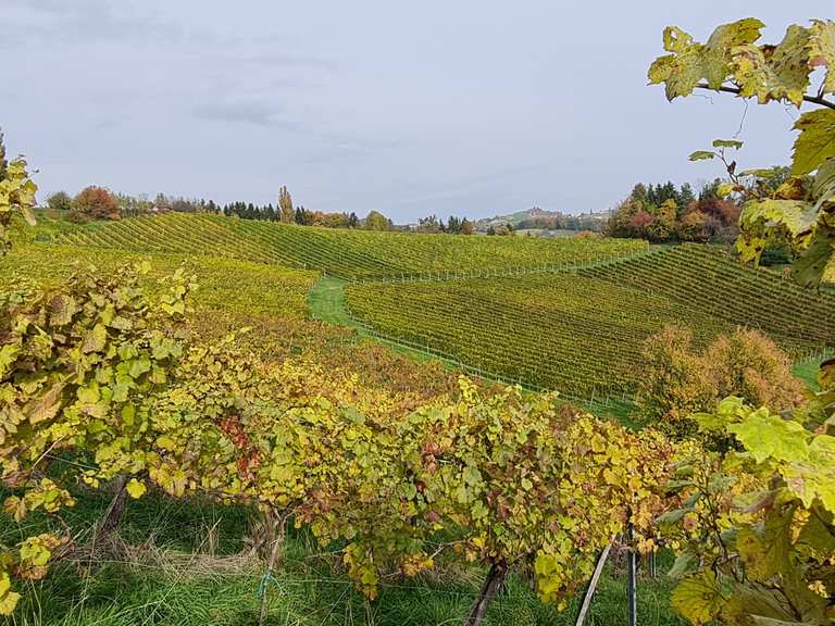 Glanzer Hoftour Variante 2 - Südsteirische Weinstraße | Wanderung | Komoot