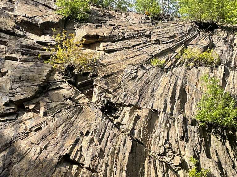 Runde in Mohorn-Grund über Bergbaulehrpfad, Porphyrfächer und ...