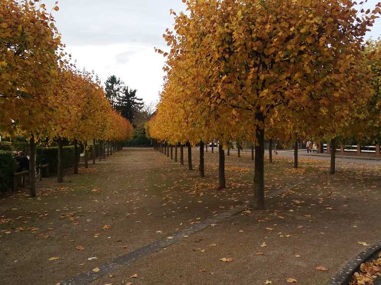 Herbst-Rundgang-Wasserstadt-Nordhorn-7km | Wanderung | Komoot