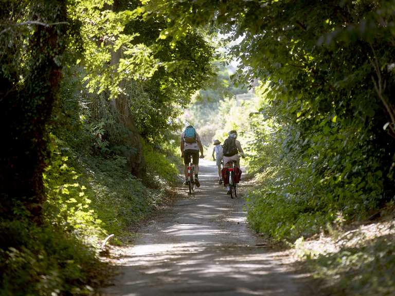 Fietsen in Vlaanderen – Icoonfietsroutes door de natuur | Toerfiets ...