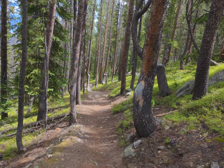 Hike to Timber Lake, Rocky Mountain National Park | Wanderung | Komoot