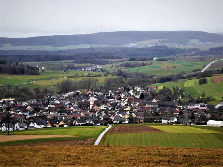 Alter Postweg, Napoleonseck, Bisberg - Runde ab WP Watterdingen 15.01. ...