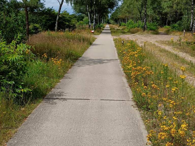 struikelen over de bankjes | Gravel-Tour | Komoot