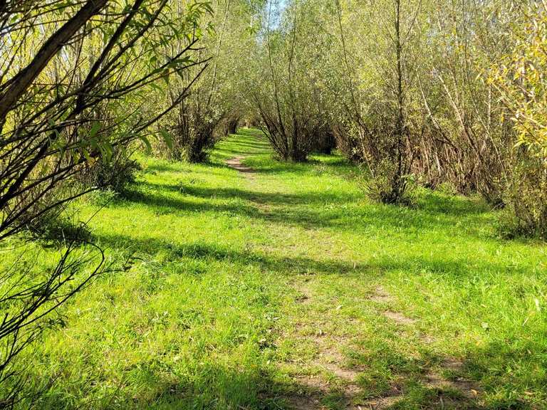 Rondje Nederland - Van Pey/Echt naar Thorn 18,5 km | hike | Komoot