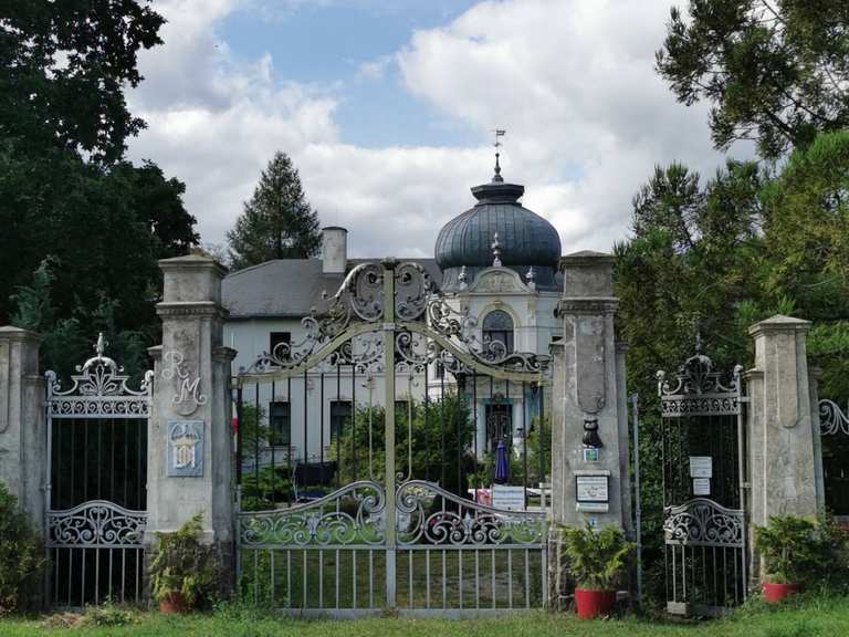 Loppin - Jabel Seen und Natur pur | giro in bici | komoot