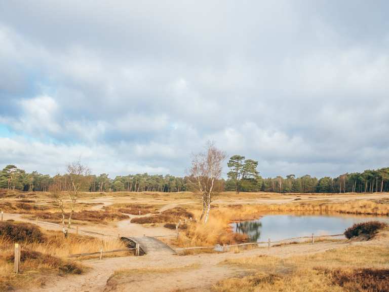 Wandelen over de Utrechtse Heuvelrug | Komoot