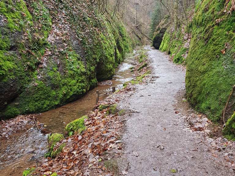 Wanderung Eisenach: Drachenschlucht x Ausblick Wartburg x Feengrotte ...