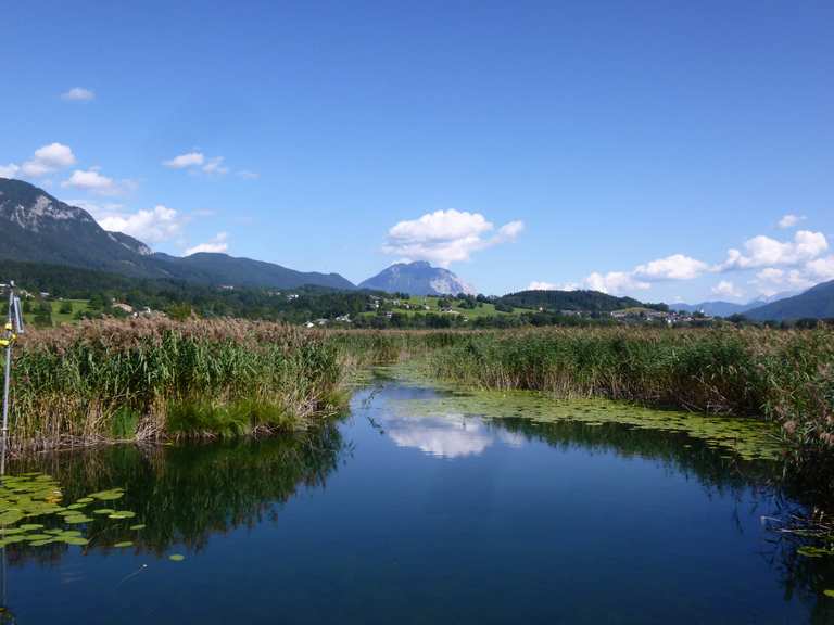 Berg⛰️ und Tal🌲 in Kärnten 🥾 | Komoot