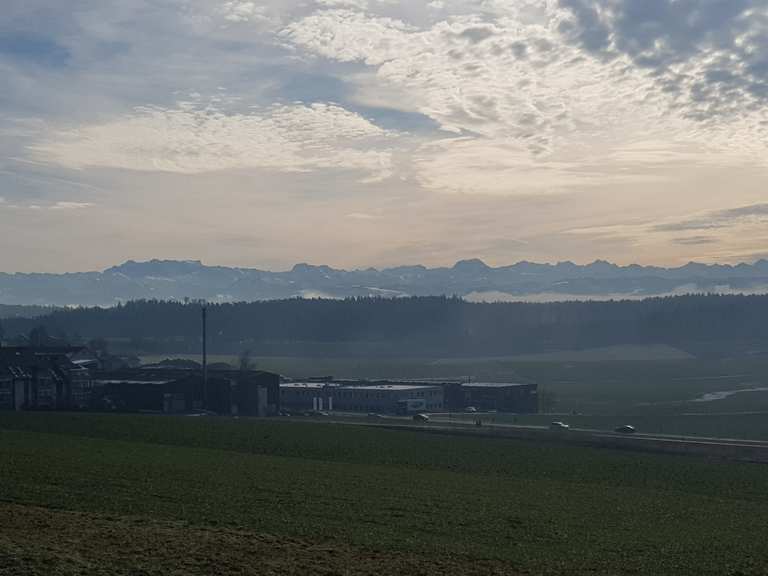 🇨🇭 ZH_Tagelswangen | Wanderung | Komoot