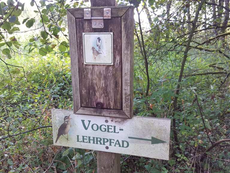 Vogellehrpfad am Simssee | Wanderung | Komoot