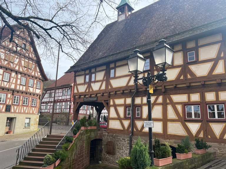 Remstal 🌸🌺👀🧑‍🎨 Kirschblütenweg - Aprikosen-und Mandelbaum-Hain ...
