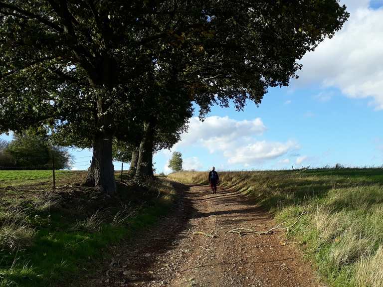 Mozet - Mont-Sainte-Marie - Mozet | hike | Komoot