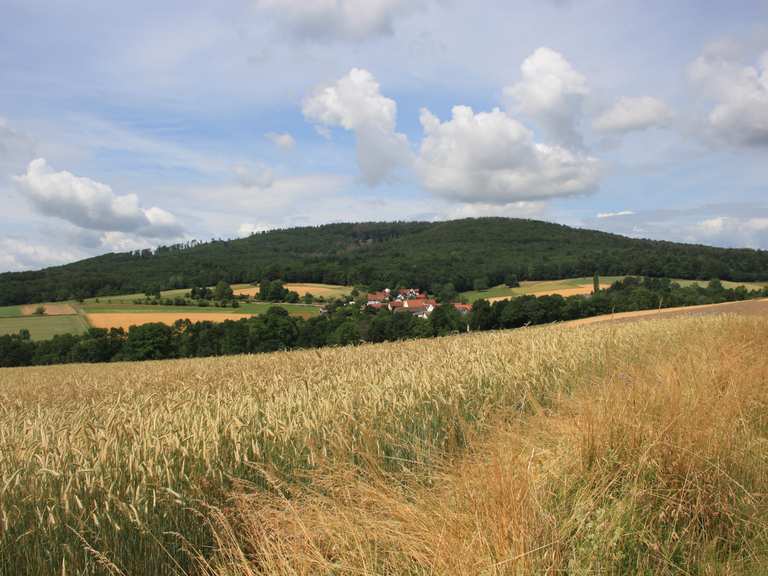 Sebbeterode - Hundskopf - Wüstegarten - Densberg | Wanderung | Komoot