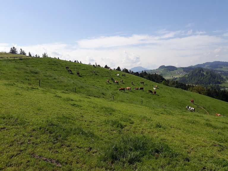 Stäfeli-Tour....Sursee-Wolhusen-Obermoos-Rengg-Gfellen-Riseten-Stäfeli ...