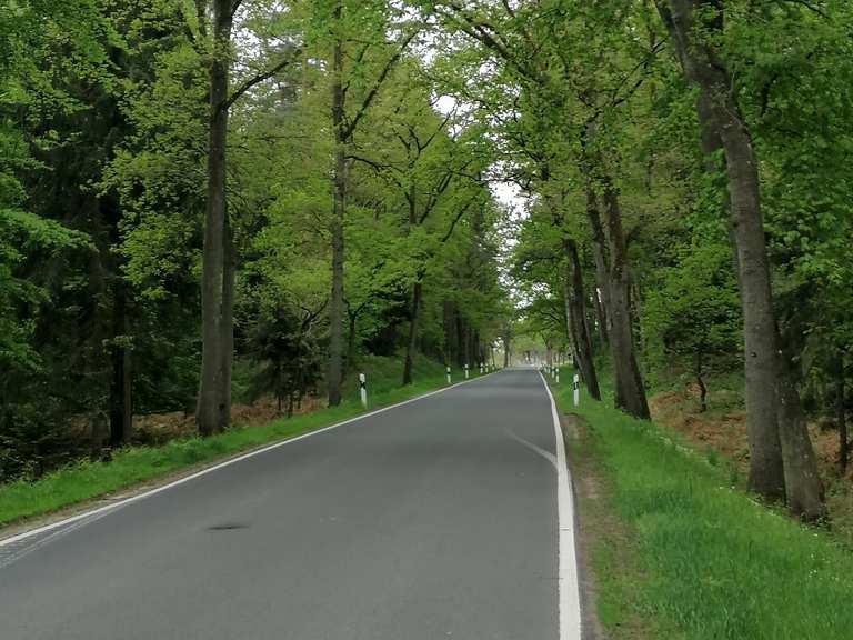 Zum Trabi treffen nach Anklam | Rennrad-Tour | Komoot