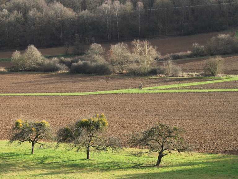 Löhnberg - Blauer See - Roter Kopf - Löhnberger Aussichtsturm ...