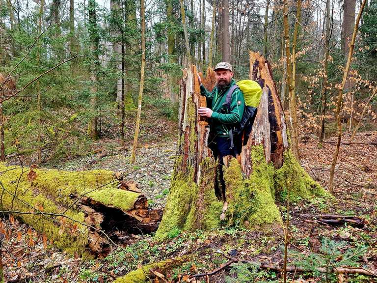 Mit Alwin durch die Steinbrüche im Lorenzer Reichswald | Wanderung | Komoot