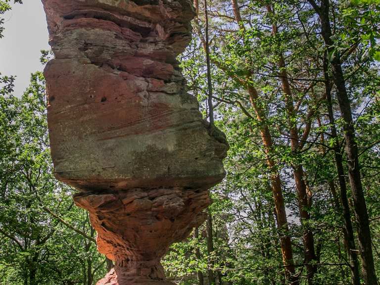 Rumberg-Steig / Ludwigswinkel | hike | Komoot