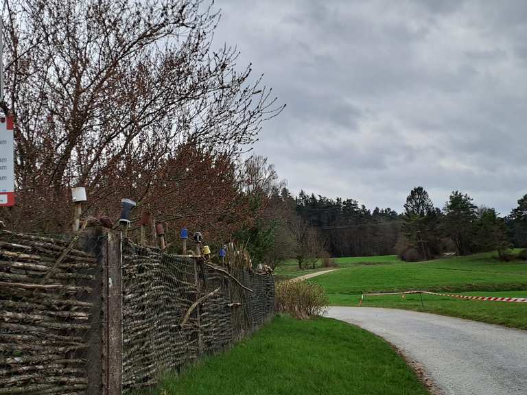 Sengenthal - zum Winnberger Lesesteinhaus | Wanderung | Komoot
