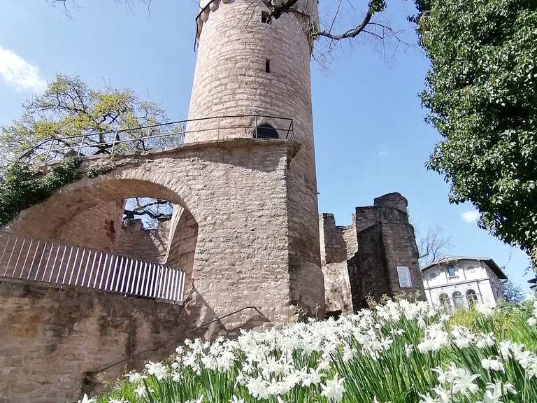 🥾 Raus ☀️ haschen 😎 | Wanderung | Komoot