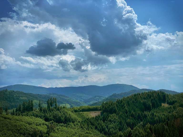 W&W Durbach (Oberkircher Brennersteig) | Wanderung | Komoot