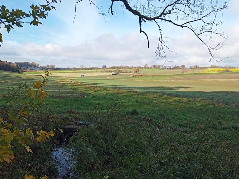Kaisheim Gunzenheim Buchdorf - Rundweg Monheim Nr. 14 | Wanderung | Komoot